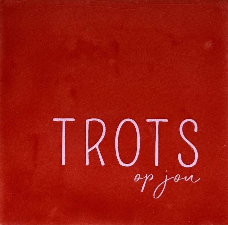 Yett Carreaux à message (Rood) - Panache (Koksijde)